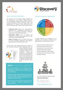 Insights Discovery Profile - Personal Discovery